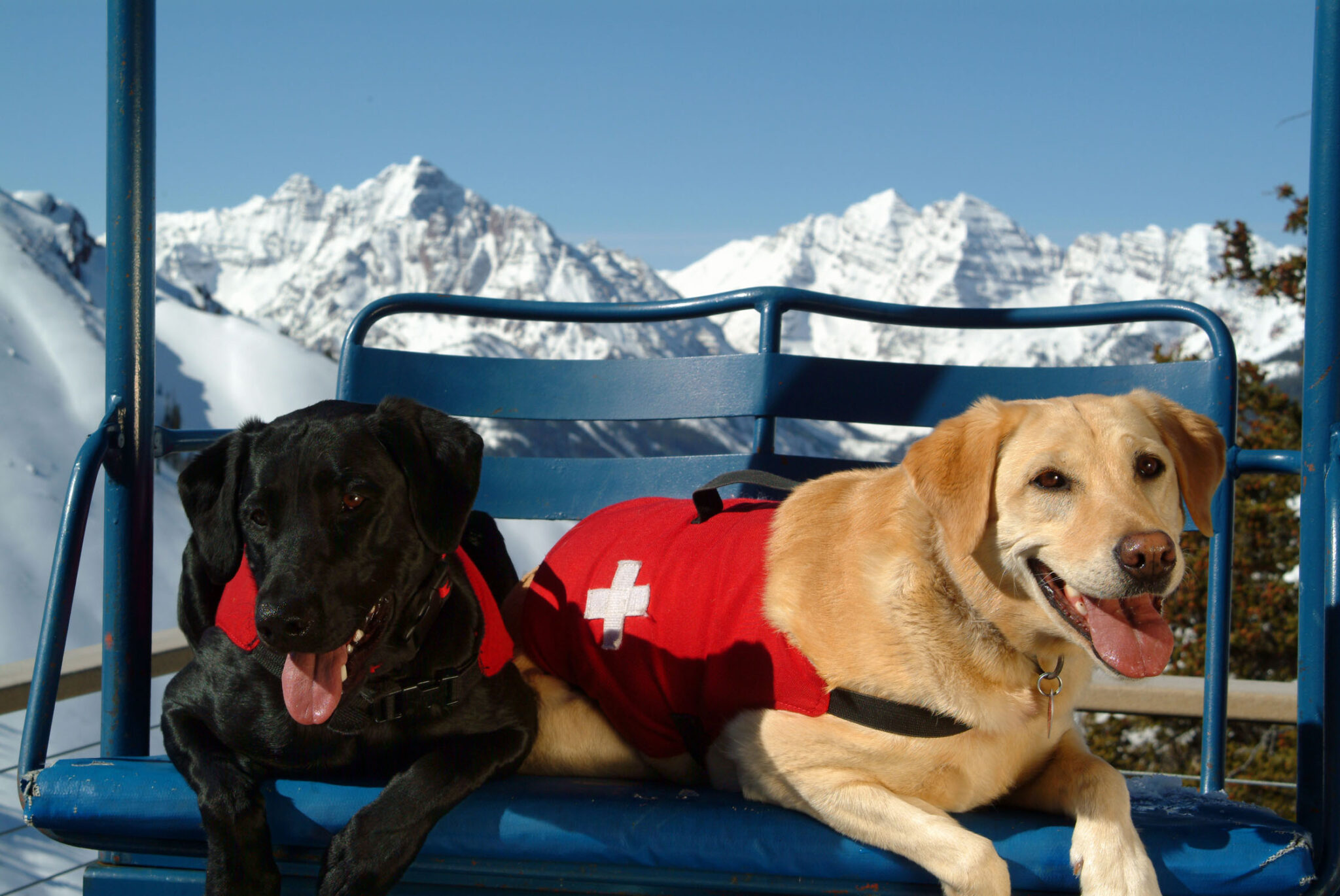 Careers: Benefits & Perks | Aspen One