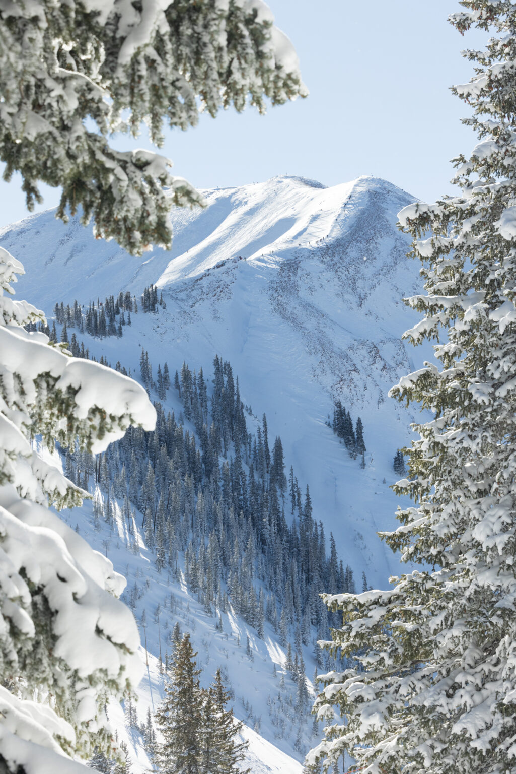 Careers: Benefits & Perks | Aspen One Careers: Benefits & Perks | Aspen One